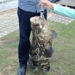 Batam Day Trip - Who Is This Tour Best For?