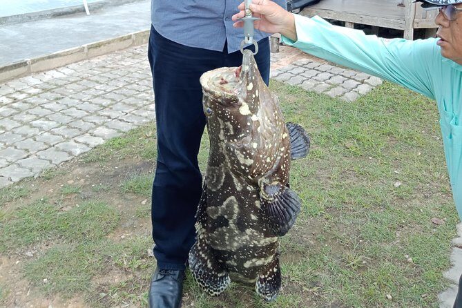 Batam Day Trip - Who Is This Tour Best For?