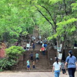 Battambang, Bamboo Train, Killing Cave Tour From Siem Reap - Reviewing the Value