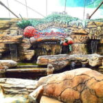 Batu Caves And Genting Highland Tour Include 2-way Cable Car Tickets & Lunch - Whimsical Stop at Geneve Timepiece Sdn Bhd