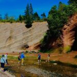 Bay Of Fundy Guided Tour - Practical Tips for Travelers