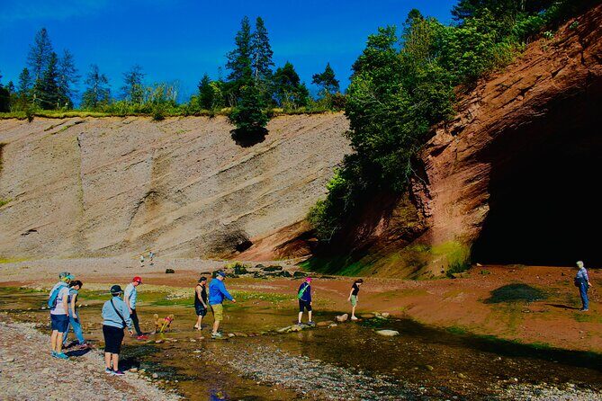 Bay Of Fundy Guided Tour - Practical Tips for Travelers