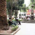 Bazaar Saturday - Convent of Carmen - San Angel - Dive Into the Details: What to Expect from Each Part of the Tour