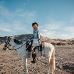 Beach and Desert Scenic Horseback Ride in Baja California Sur - Who Should Consider This Tour?