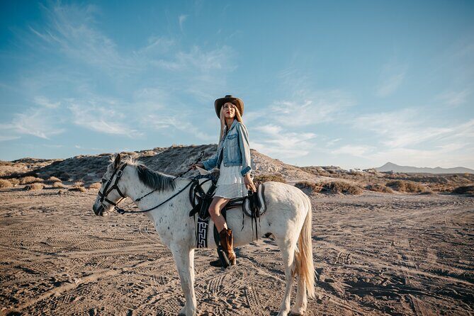 Beach and Desert Scenic Horseback Ride in Baja California Sur - Who Should Consider This Tour?