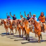 Beach and Desert UTV with Horseback Riding Experience - The Practicalities: What’s Included and What’s Not