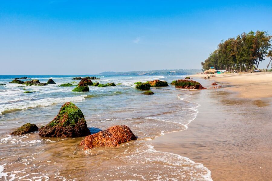Beautiful Goa Beach Tour - Transportation and Guide Service