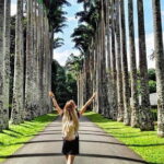 Beautiful Sri Lanka - 6 Days Tour (Colombo-Sigiriya-Kandy -Galle) - Detailed Itinerary Breakdown