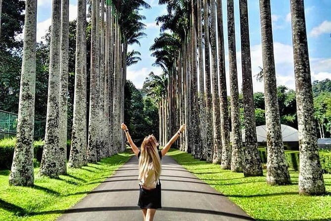 Beautiful Sri Lanka - 6 Days Tour (Colombo-Sigiriya-Kandy -Galle) - Detailed Itinerary Breakdown