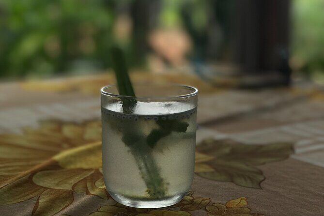 Become a Farmer at Tra Que Vegetable Village included cooking class and Foot Massage - Practical Details and Considerations