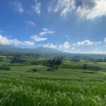 Bedugul, Jatiluwih, Tanah lot - Who Is This Tour Best Suited For?