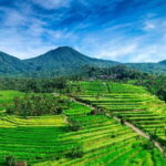 Bedugul & Tanah Lot Tour - Frequently Asked Questions