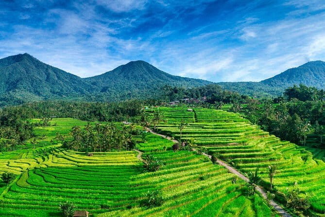 Bedugul & Tanah Lot Tour - Frequently Asked Questions