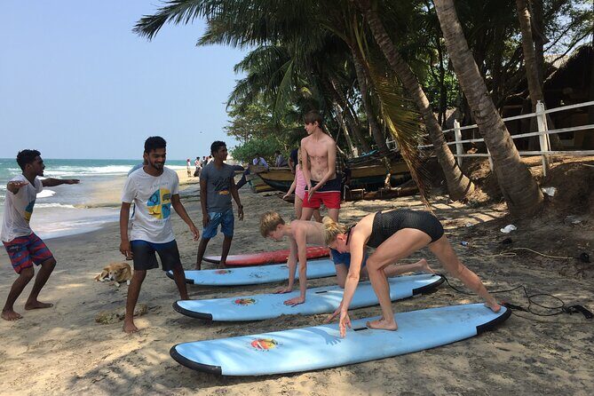 Beginner Surf Lesson in Arugam Bay - Practical Details and Tips