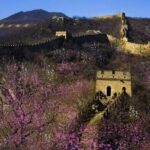 Beijing Day Tour to Tiananmen Square, Forbidden City and Mutianyu Great Wall - An Overview of the Itinerary and What to Expect