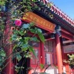 Beijing Half Day Tour: 798 Art Zone, Houhai Lake and Hutong with Rickshaw Ride - Who is This Tour Best For?
