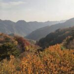 Beijing Mutianyu Great Wall and Tea House with English Driver - Why This Tour Offers Real Value