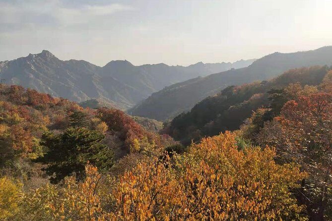 Beijing Mutianyu Great Wall and Tea House with English Driver - Why This Tour Offers Real Value