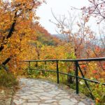 Beijing Private Tour to Summer Palace and Fragrant Hill with Cable Car Ride - Practical Considerations