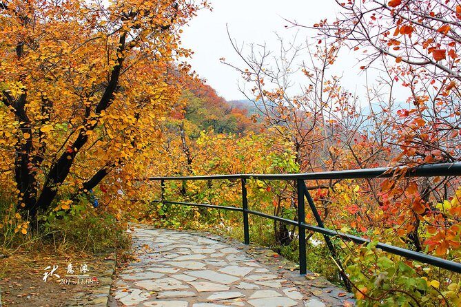 Beijing Private Tour to Summer Palace and Fragrant Hill with Cable Car Ride - Practical Considerations