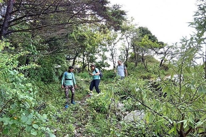 Benog Hill Trek - Exploring the Itinerary: What, Where, and Why