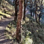 Benog Trek into the Wild - Why the Landscape Stands Out