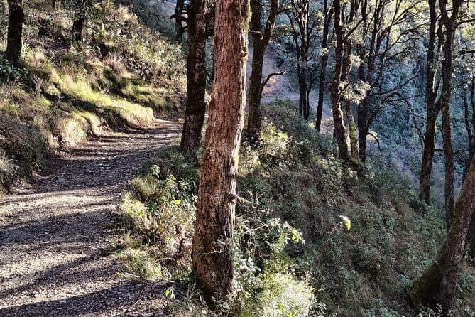 Benog Trek into the Wild - Why the Landscape Stands Out