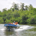 Bentota City Tour from Unawatuna - Learning Conservation at Kosgoda Turtle Hatchery