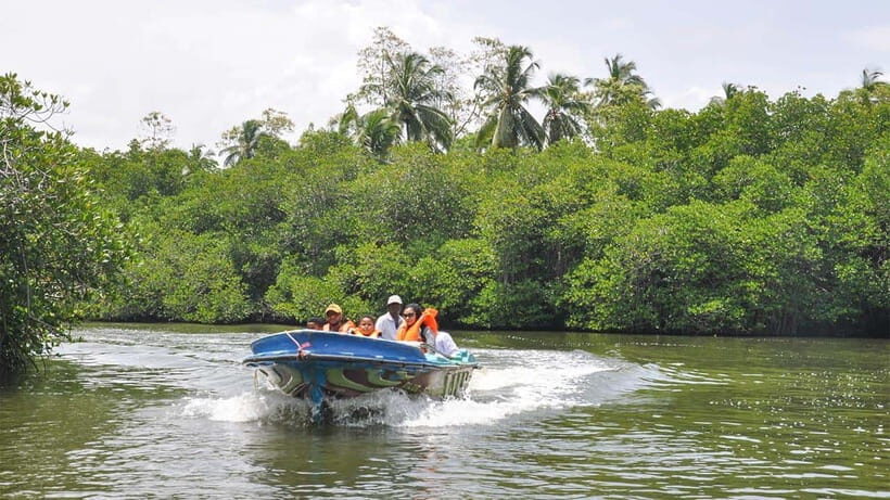Bentota City Tour from Unawatuna - Learning Conservation at Kosgoda Turtle Hatchery