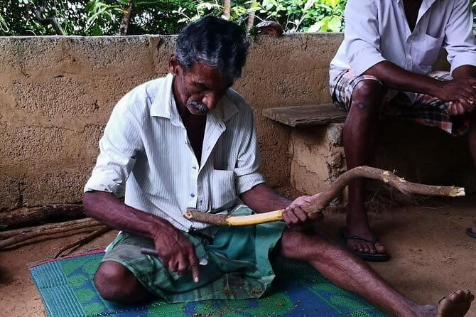 Bentota City Tour from Weligama - Introduction to the Tour