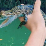 Bentota River Safari -Ahungalla/Bentota/Aluthgama/Kosgoda - Who Will Love This Tour?