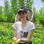 Bentota Village Tour with River Safari & Tea Plantation/Factory - All Inclusive - Logistics & Practicalities