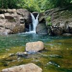 Bentota with River Safari, Waterfall, Temple and Teaplantation - Tasty Sri Lankan Rice and Curries Lunch