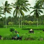 Best Bali ATV Ubud Tour Include Private Transport - Authenticity and Traveler Feedback