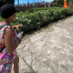 Best Choice Phu Quoc Land Tour: Discover South Island - Practical Insights for Travelers