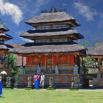 Best Day Trip in Bali - What Travelers Say