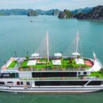 Best Halong Bay Tour One Day On Luxury Cruise 6 Hours Cruising - An In-Depth Look at the Experience