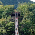 Best Korea DMZ Private Tour from Seoul (and Suspension Bridge) - Authentic Experiences and Real Traveler Insights