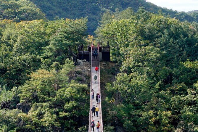 Best Korea DMZ Private Tour from Seoul (and Suspension Bridge) - Authentic Experiences and Real Traveler Insights