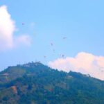 Best Nepal Tour: Kathmandu Pokhara Chitwan Tour - Chitwan: Wildlife and Wilderness