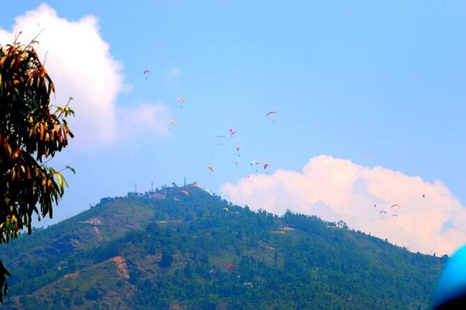 Best Nepal Tour: Kathmandu Pokhara Chitwan Tour - Chitwan: Wildlife and Wilderness