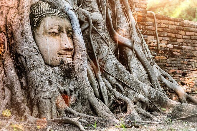 Best of Ayutthaya Private Guided Day Tour - The Sum Up