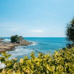 Best of Bali Half Day Tour: Monkey Forest & Tanah Lot Sunset (All Inclusive) - Who Will Love This Tour?