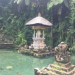 Best of Bali Private Shore Excursions - The Value of this Private Tour