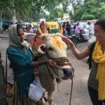 Best of Bangalore: Full-Day City Tour - In-Depth Look at the Itinerary