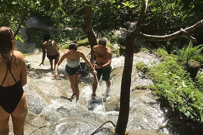 Best of Chiang Mai: Private Tour in a Day - Final Thoughts: Who Should Consider This Tour?