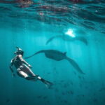 Best of Nusa Penida Holiday Package with Snorkeling: 2 Days 1 Night - A Closer Look at the Itinerary