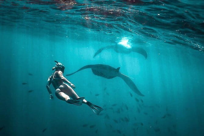 Best of Nusa Penida Holiday Package with Snorkeling: 2 Days 1 Night - A Closer Look at the Itinerary