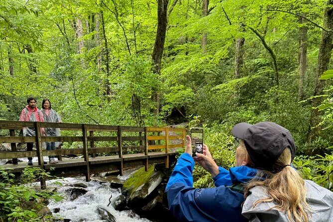 Best of the Smokies Custom Private Tour - Authentic Experiences and Real Feedback
