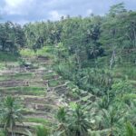 Best of Ubud & Mount Batur Volcano Private Bali Tour - A Detailed Look at the Tour